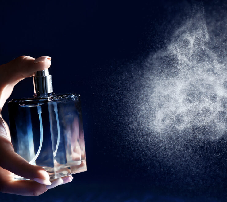 AI finally solves the mystery behind a Renaissance painting | DailyAI